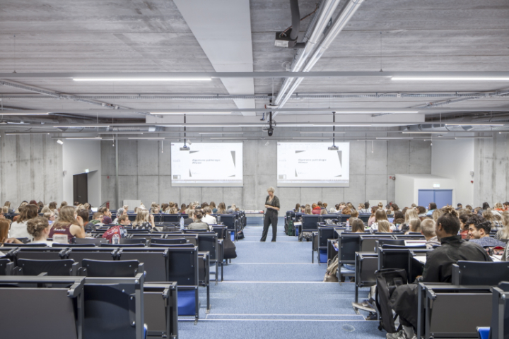 Karel De Grote Hogeschool Campus Zuid Antwerp Willemen